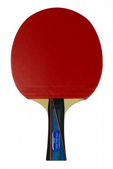 מחבט בטרפליי מקצועי כולל כיסוי BUTTERFLY TIMO BOLL 3000